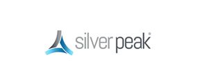 Silver Peak - LiveAction